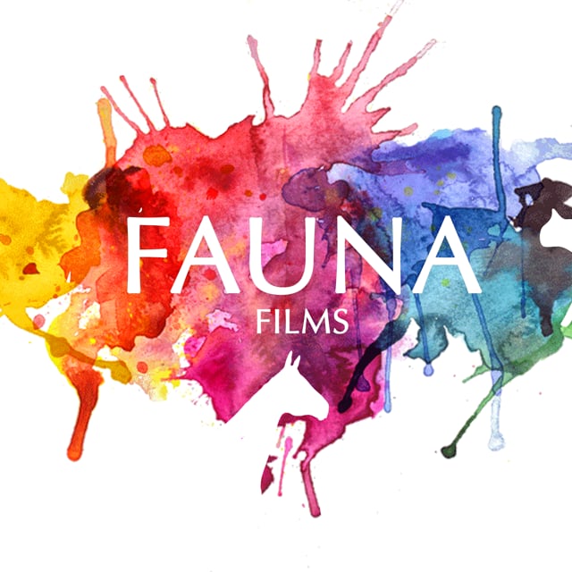 Fauna Films