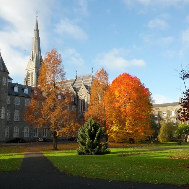 Maynooth Uni International