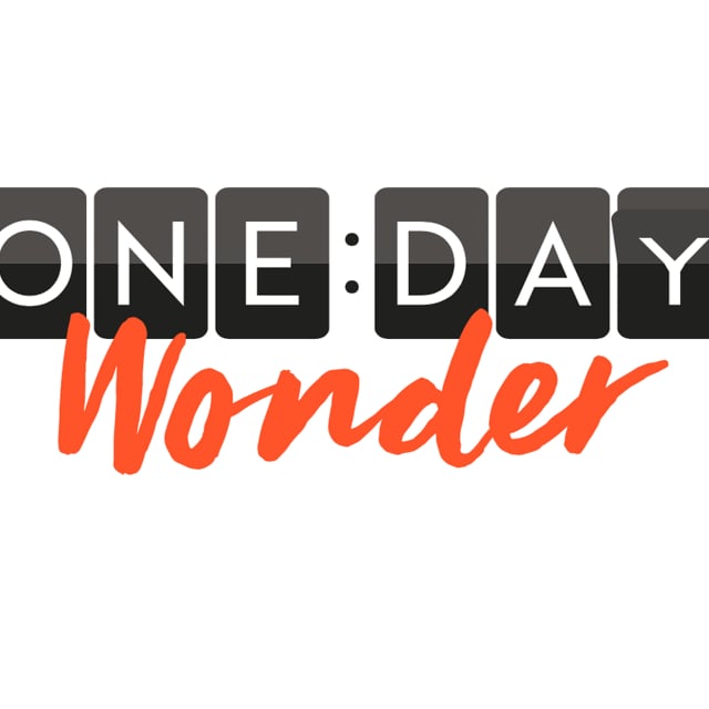 One Day Wonder