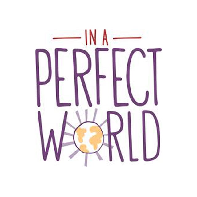 In A Perfect World