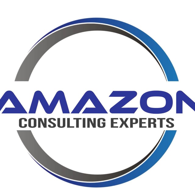 Amazon Consulting Experts