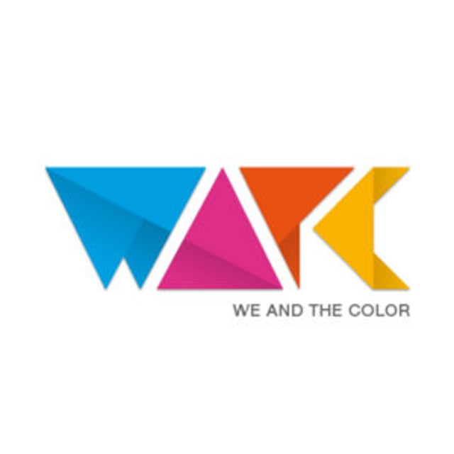 WE AND THE COLOR