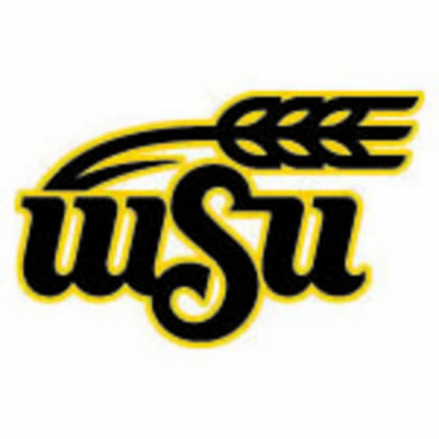 WSU College of Engineering