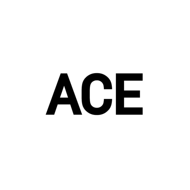 Ace Gallery