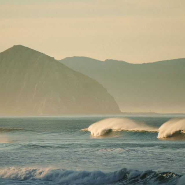 David Delmore