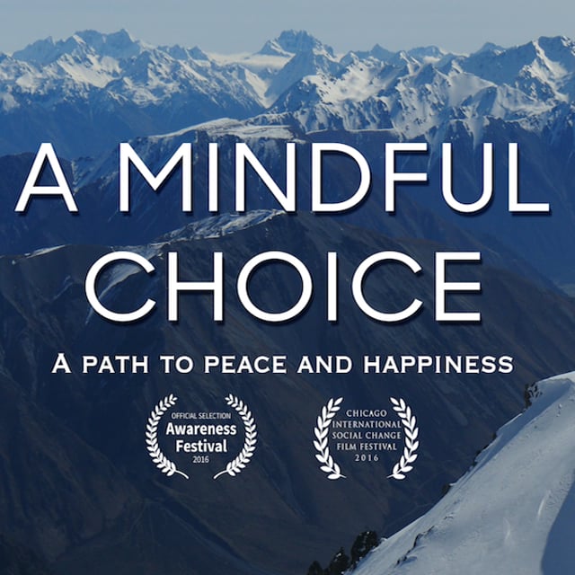 A Mindful Choice