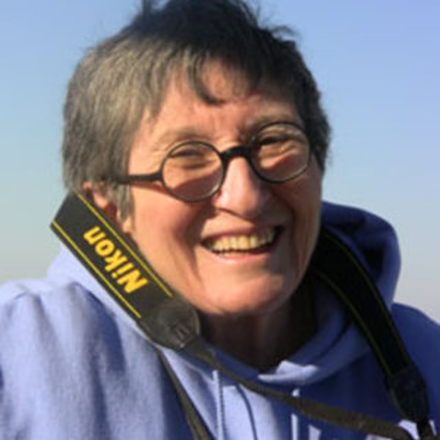 Nancy Bogen