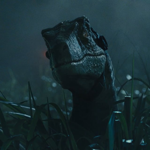 JAY ROXAS // ANIMATOR