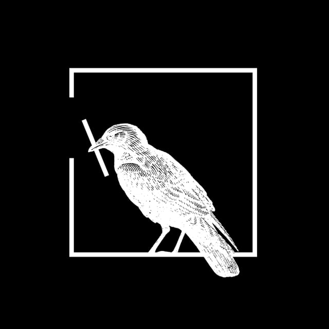 Animal Studio - Director, Editor & Animator