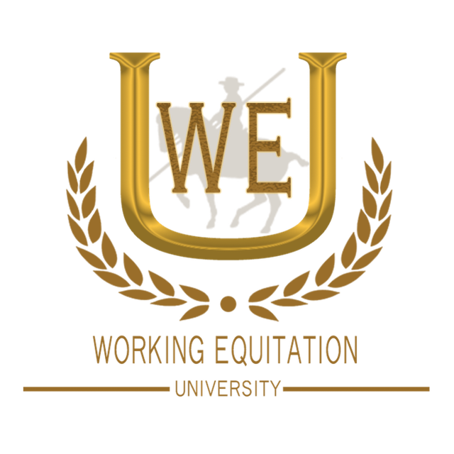 Working Equitation University