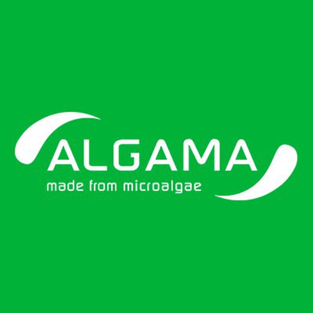 ALGAMA