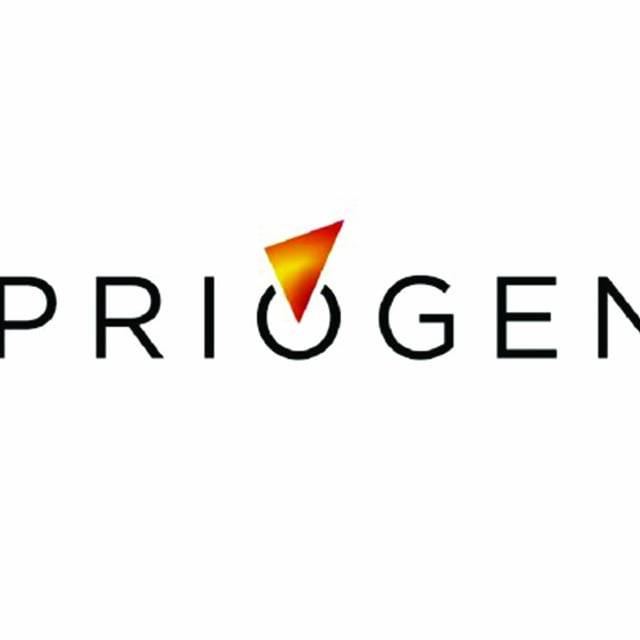Priogen Energy