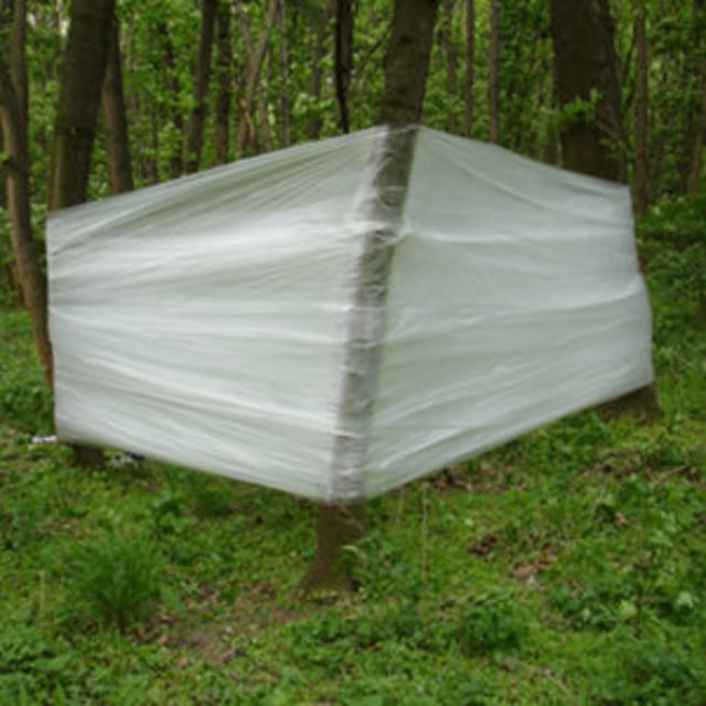 markus guschelbauer - Artist