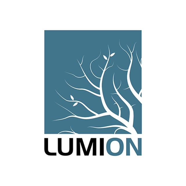 Lumion