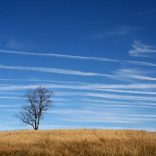 Michael Emmons (Kansas City)