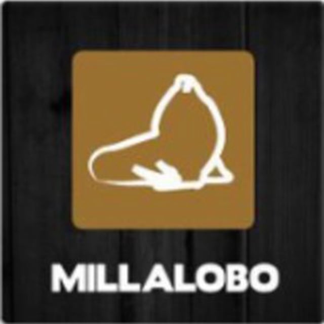 Millalobo Tablas & Surf