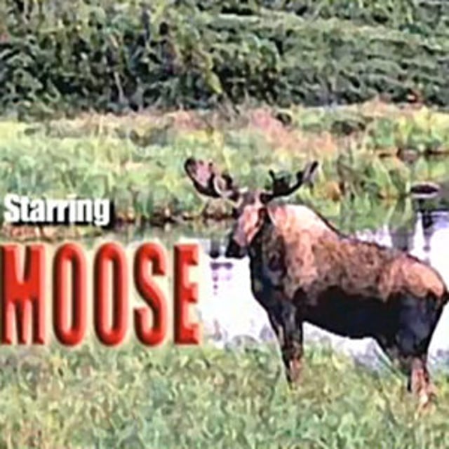 MOOSE