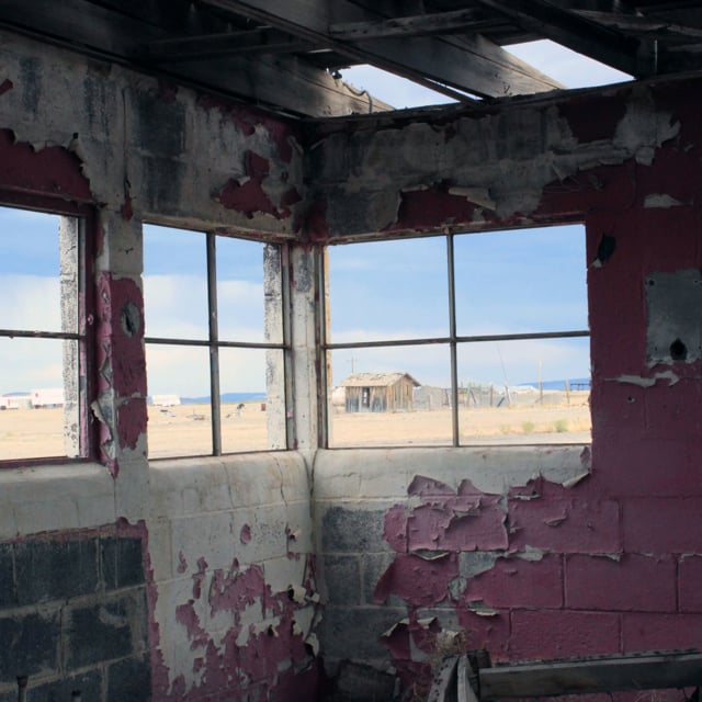 Merete Mueller - Film Director