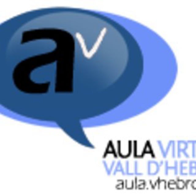 Aula Virtual HUVH