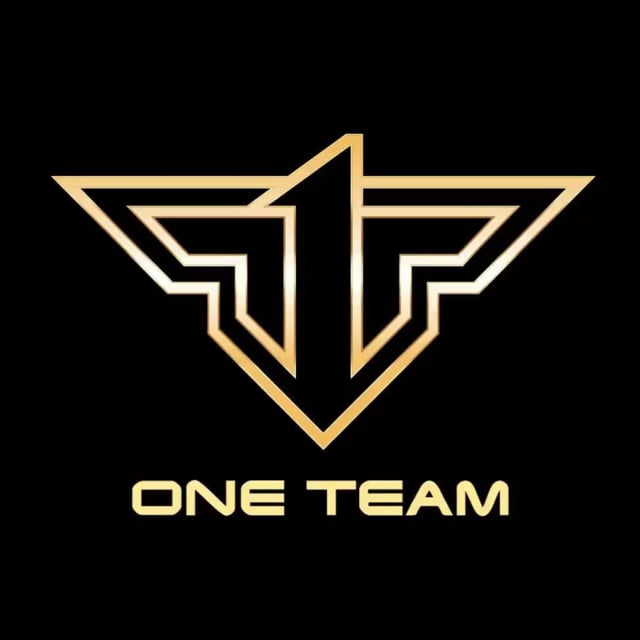 ONE TEAM