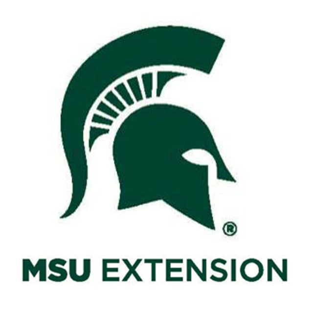 MSU Extension