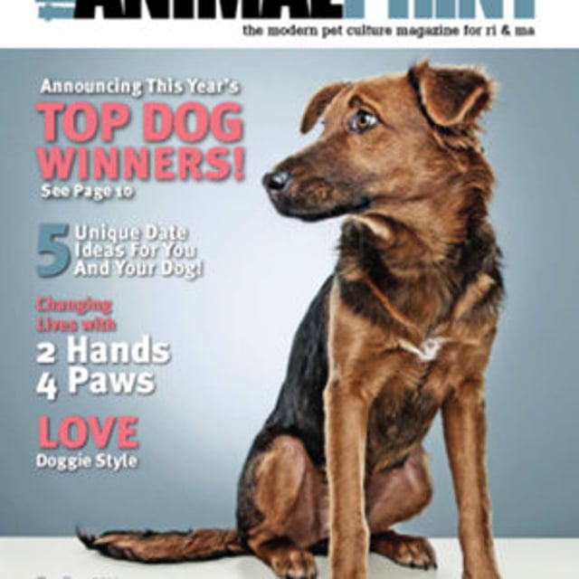 Animal Print Magazine
