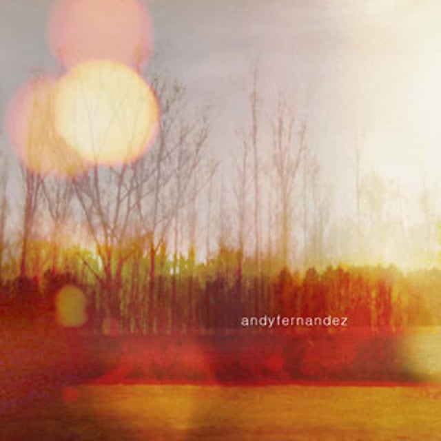 Andy Fernandez