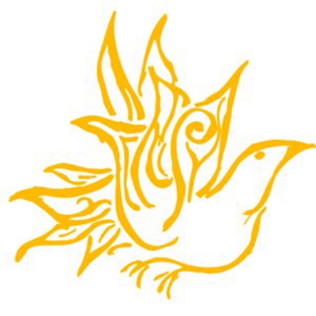 Hercinia Arts Collective