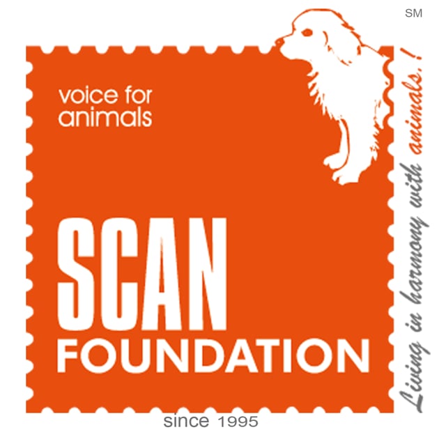 SCAN FOUNDATION