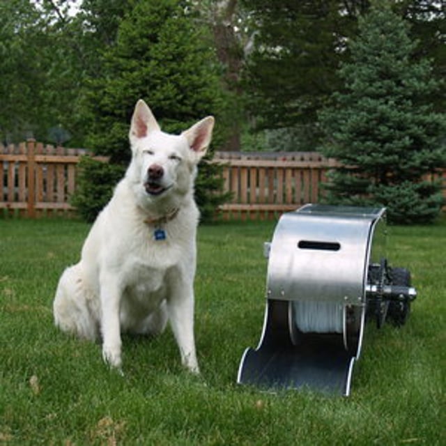 Boo Dog Winches