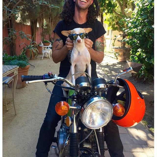 Francis Capone - Director, Producer & Actor