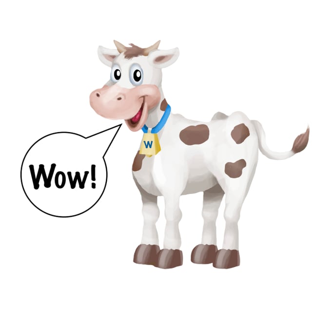 Wow Cow
