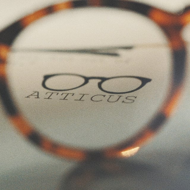 Atticus Investigates