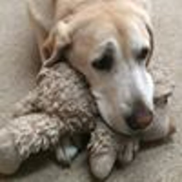 Christopher Goodrich