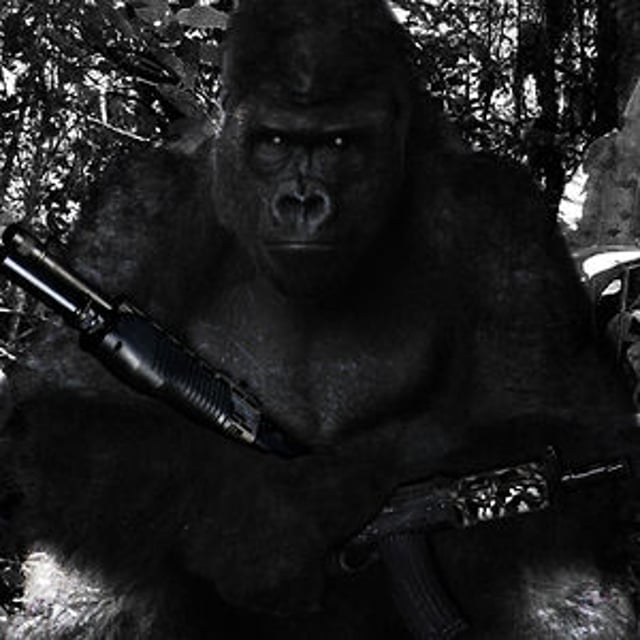 Ruthless Gorilla Prod.