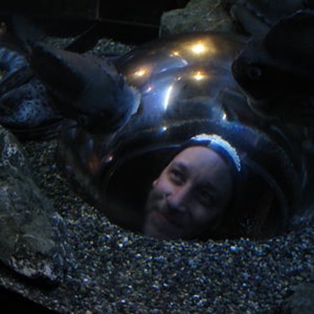 Simon Andrew MacArthur