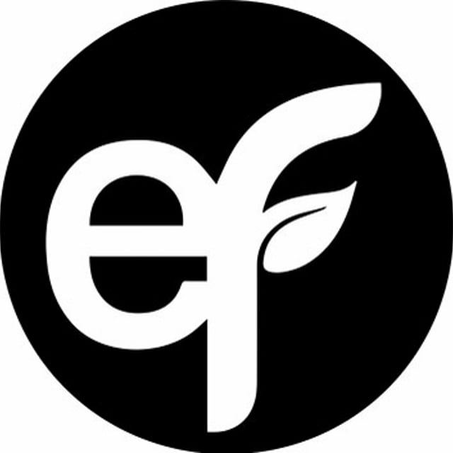 EF LANDSCAPE ARCHITECTS - Director