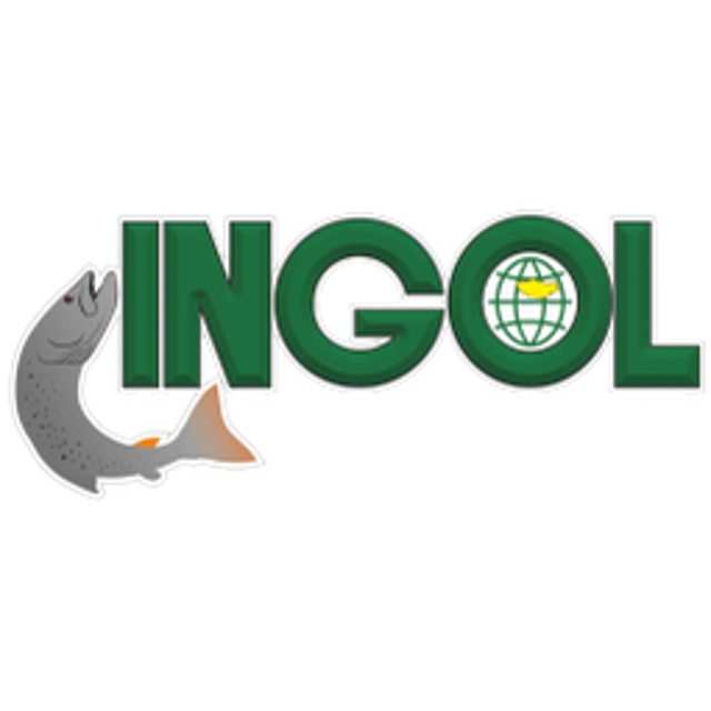 Ingol CK