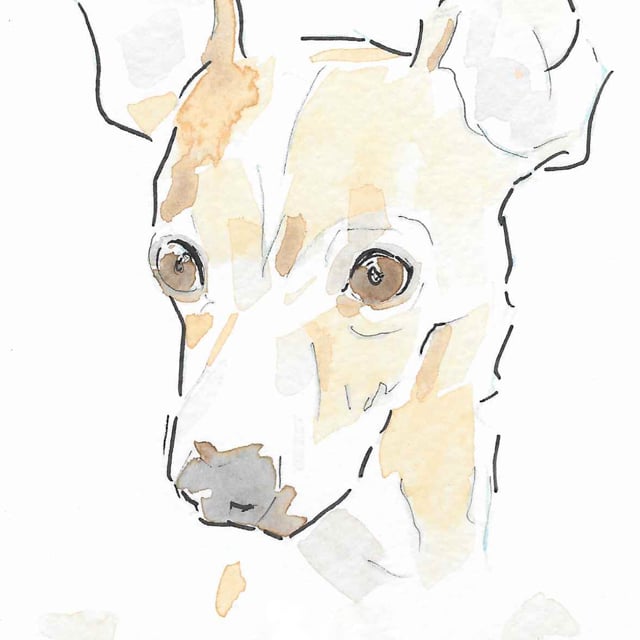 Ruff Cut Videography - Video Editor, Sound Editor & Director