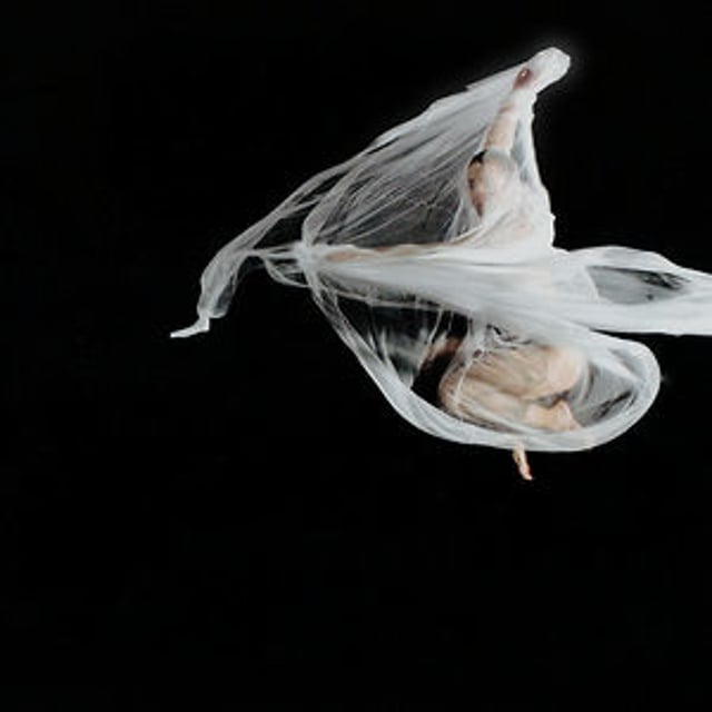 Christopher K. Morgan & Artists