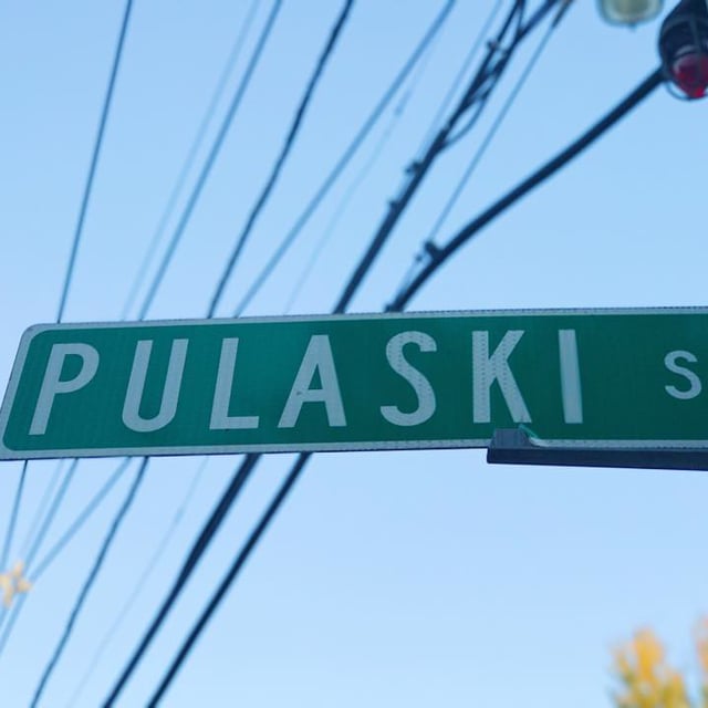 The Pulaskis