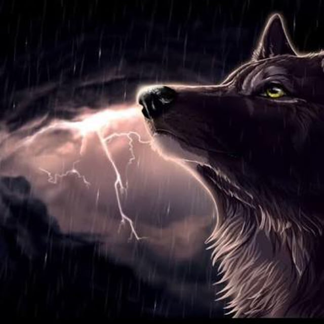 Storm Wolf