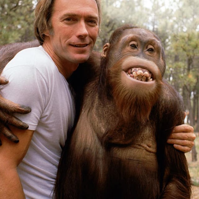 Nick Lucarelli on Vimeo