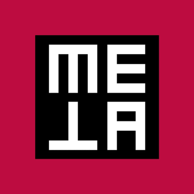 Metaplasma