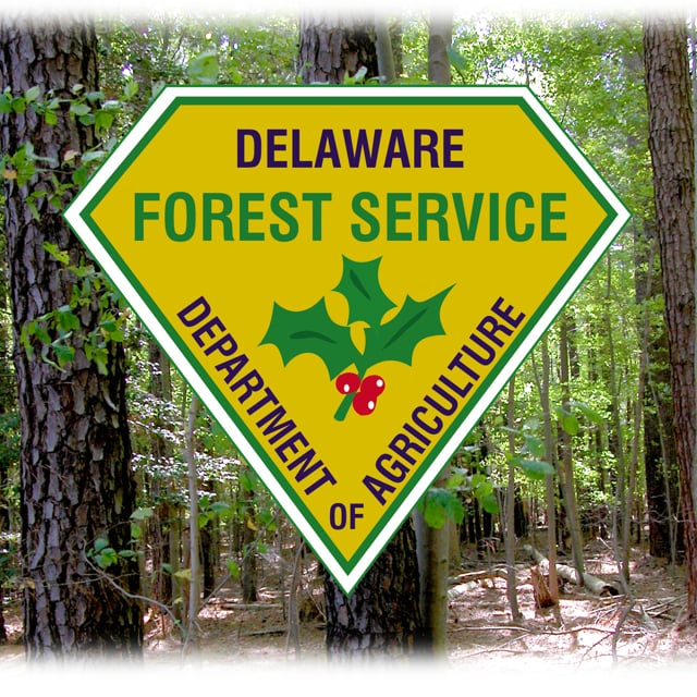 Delaware Forest Service
