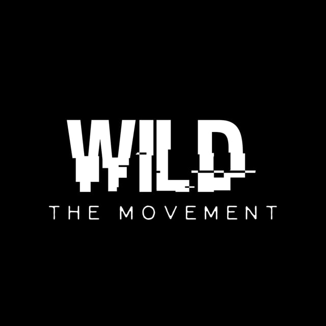 WILD Productions LLC