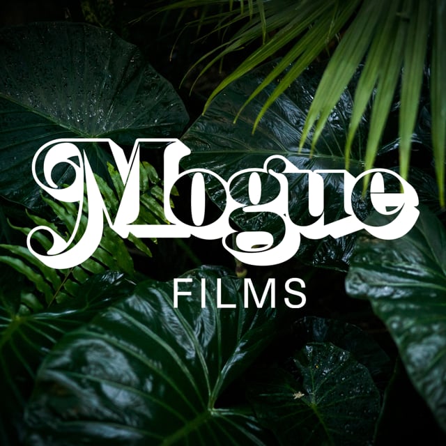 Mogue Films