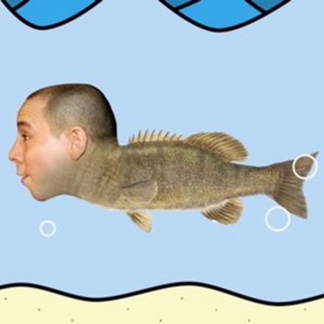 Josh Bass