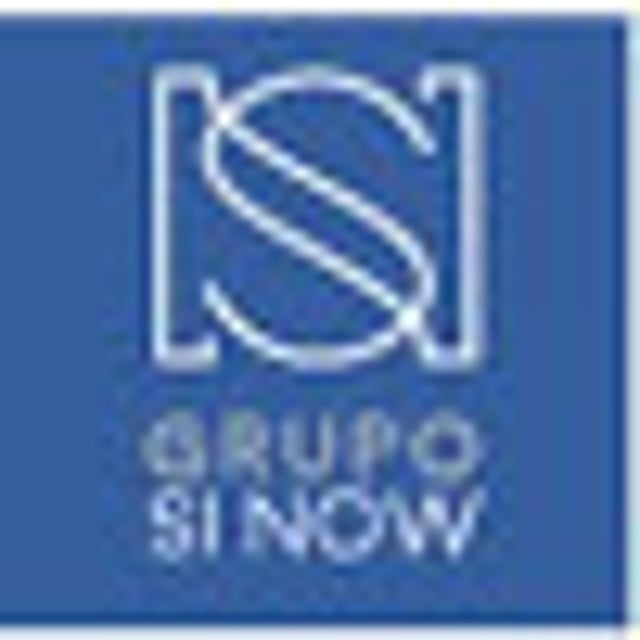 Grupo Sinow