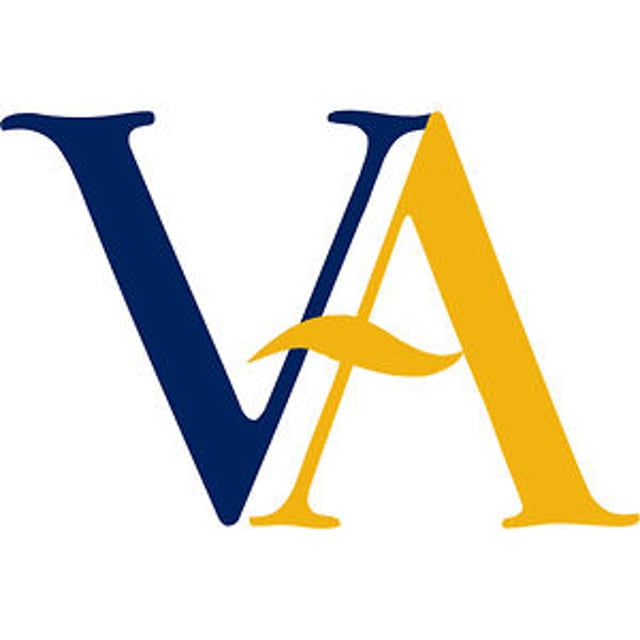 Vincentian Academy